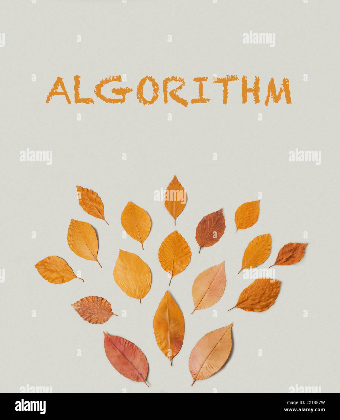 A white background with a bunch of leaves scattered around it. The ...