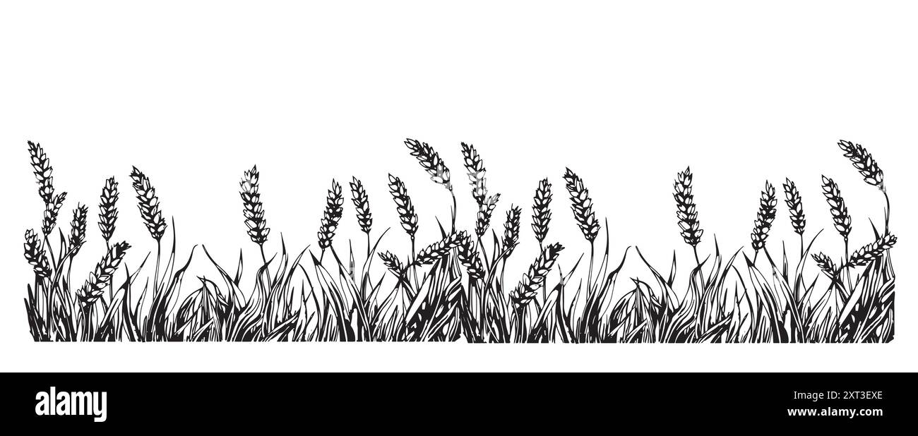 Wheat border village landscape vector. fields with harvest Stock Vector ...