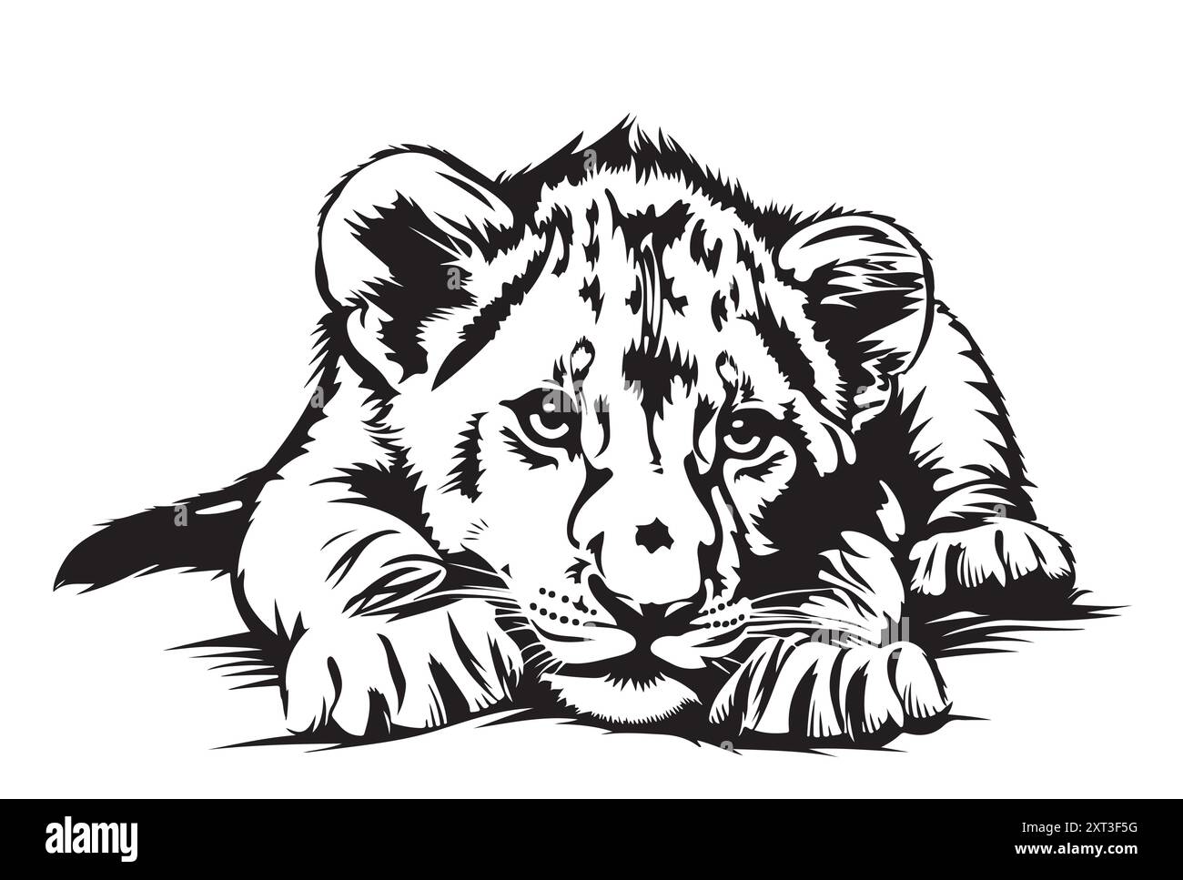 Hand drawn portrait of lion cub . Vector illustration isolated on white ...