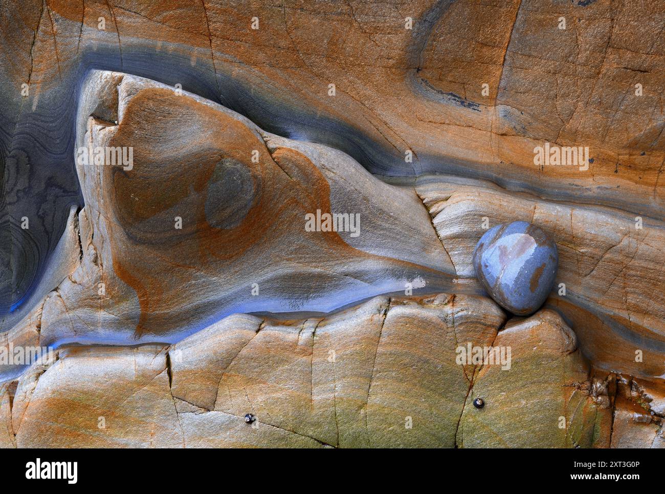 Detailed view of a coastal cliff showcasing exquisite natural artistry ...