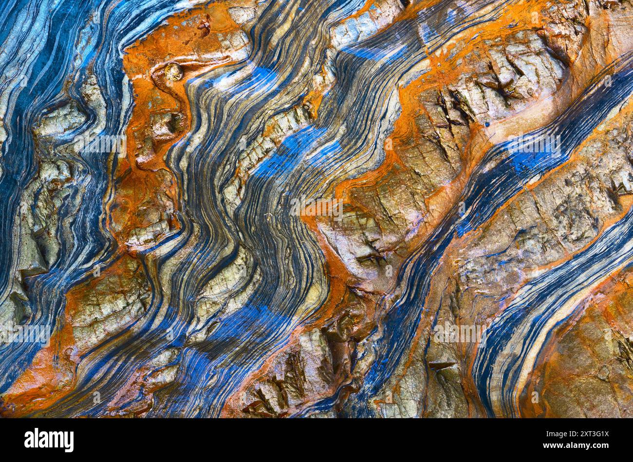 This image showcases a vivid color flow with chromatic contrasts ...