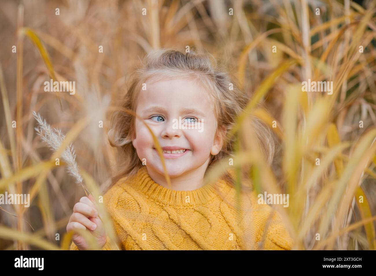 Cute little girl 3 years old plays in the autumn bright park. Portrait ...
