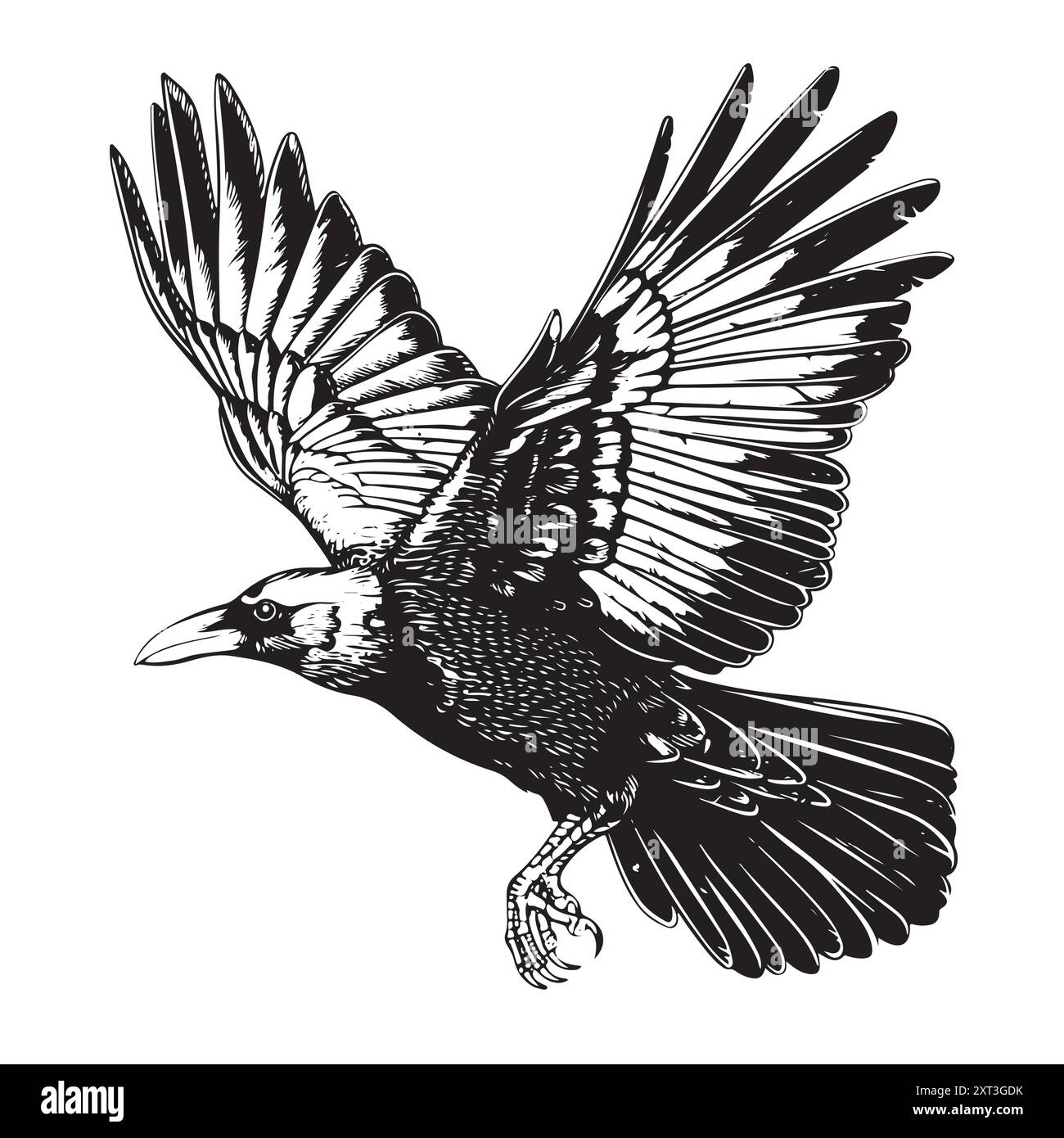 Realistic illustration of a Crow, hand drawn. vector Stock Vector Image ...