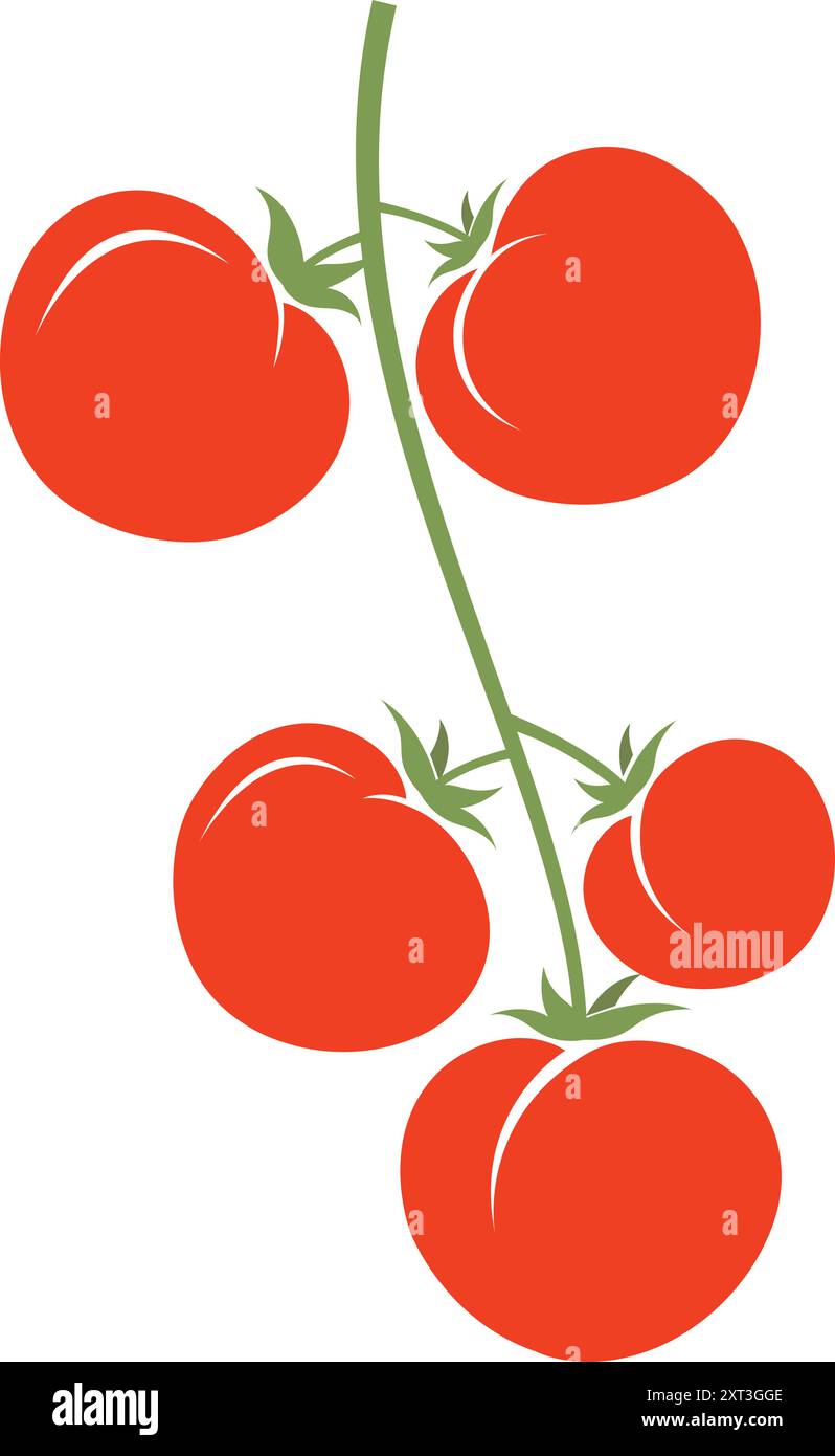 Ripe Red Tomato Vine: Fresh Produce Vector Illustration. Vibrant Red Tomato Vine. Food Industry ...