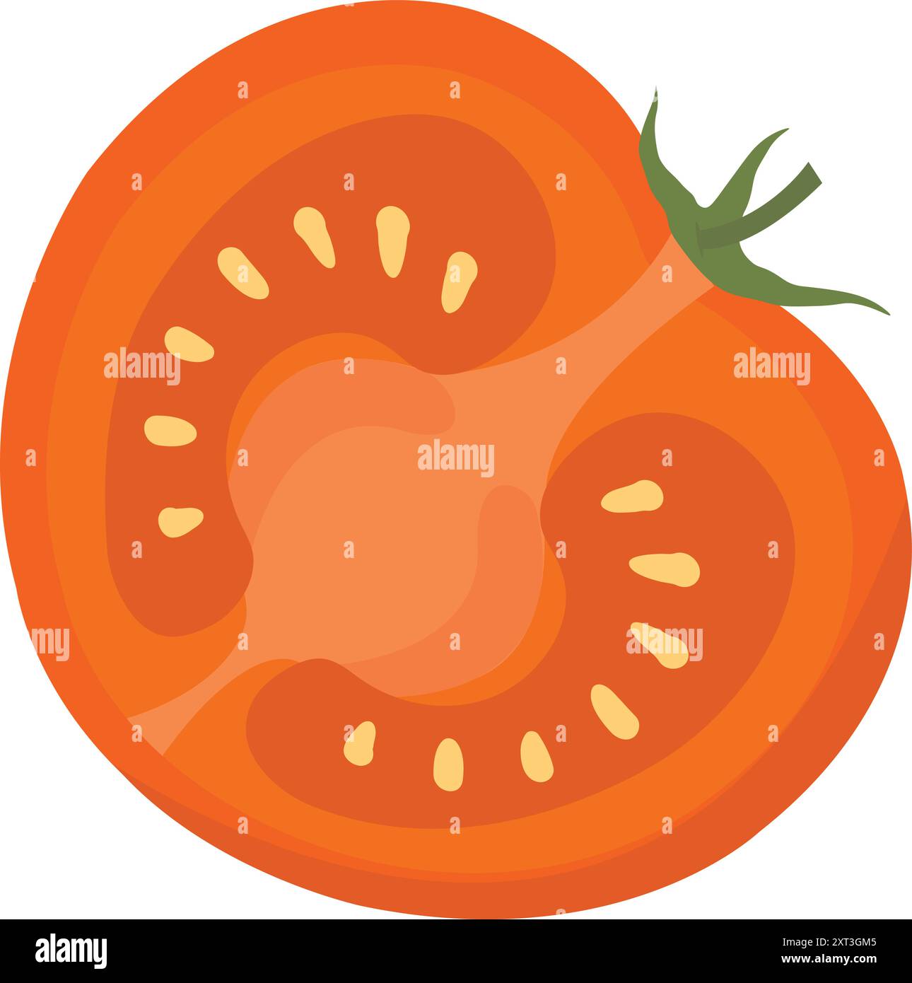 Eye-Catching Red Tomato Slice : Detailed Vector Illustration. Tomato Cross-Section. Food ...