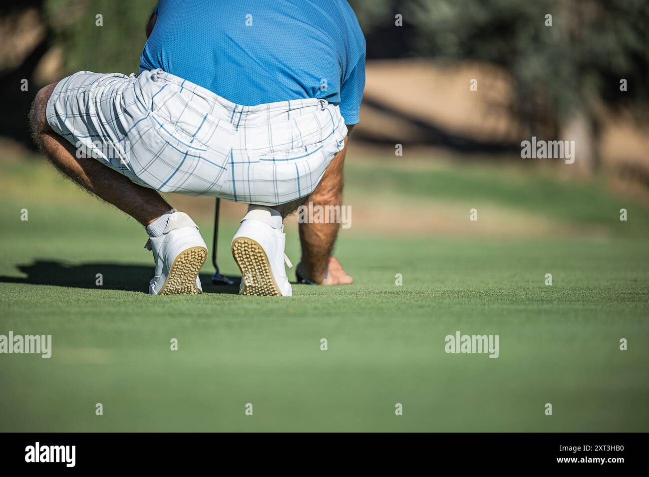 Back view of unrecognizable male golf player in a blue shirt and ...