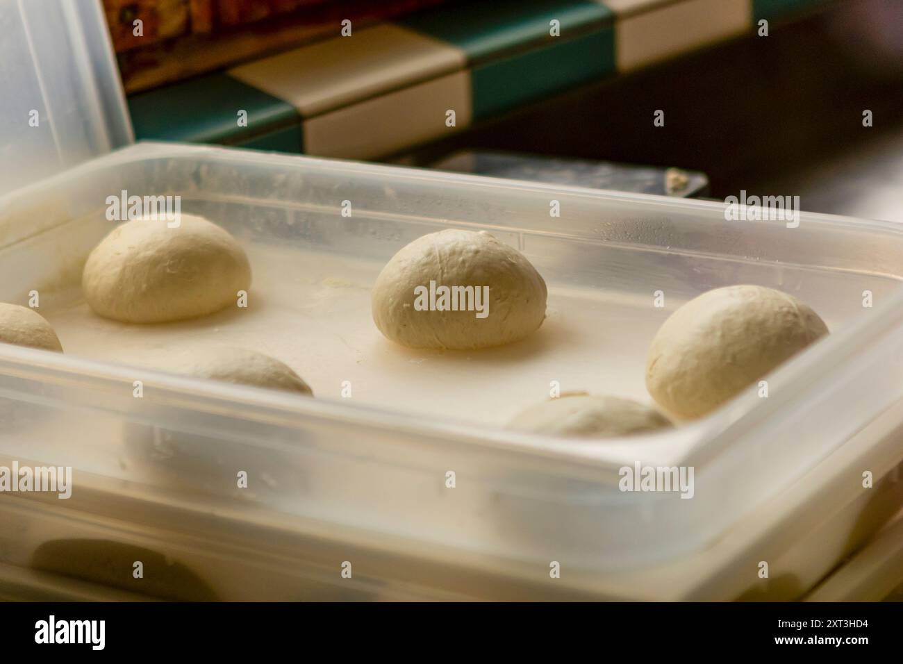 Raw, perfectly shaped pizza dough balls left to rise in a clear ...