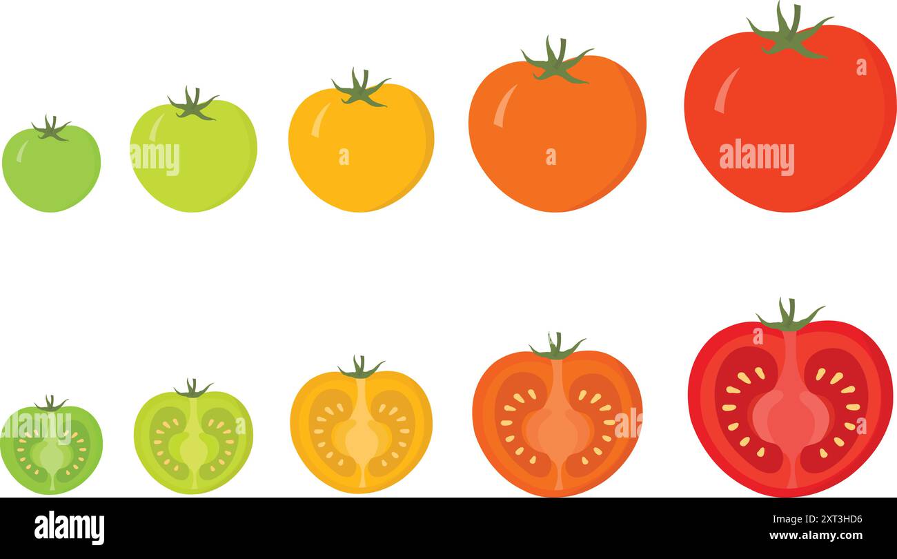 Visual food guide Stock Vector Images - Alamy