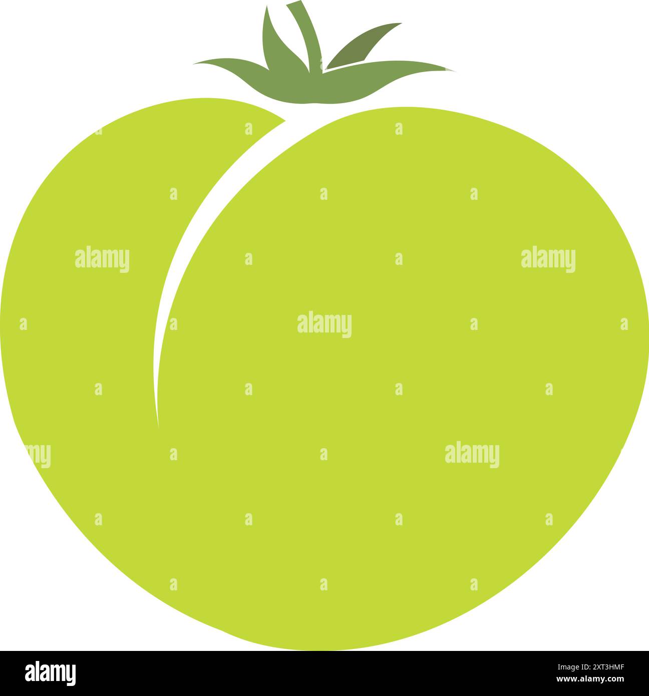 Green Tomato Vector Illustration: High-Quality Vector for Food Packaging and Branding Stock ...