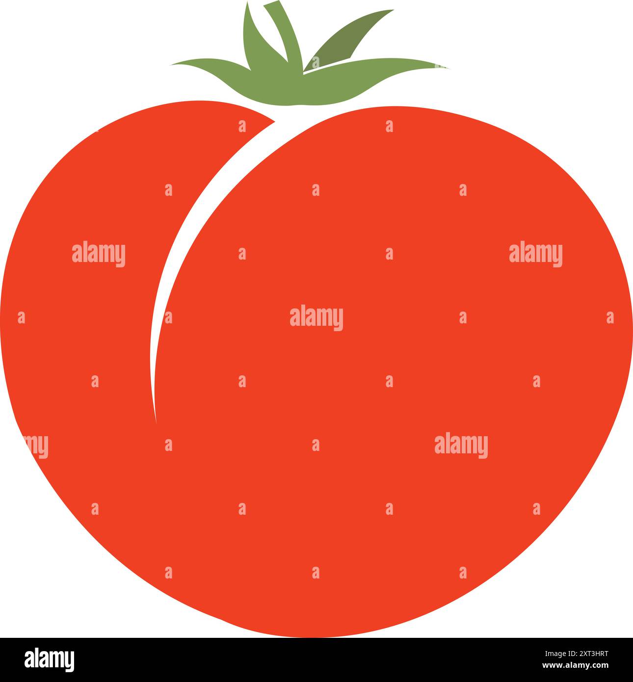 Organic Fresh Red Tomato Produce Vector: Juicy Vector Illustration. Stock Vector for Food ...