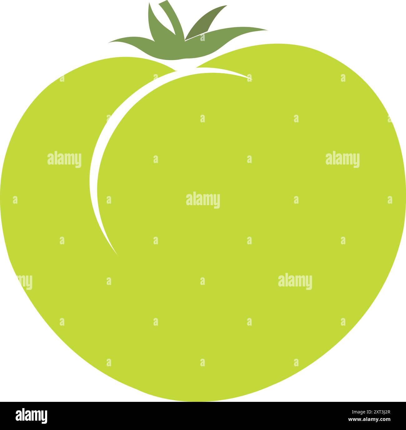Fresh Green Tomato Isolated Vector Illustration - Organic Vegetable ...