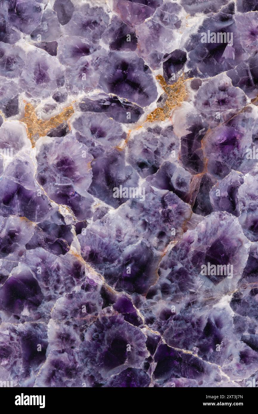 Explore the mesmerizing patterns and deep purple hues of Chevron ...