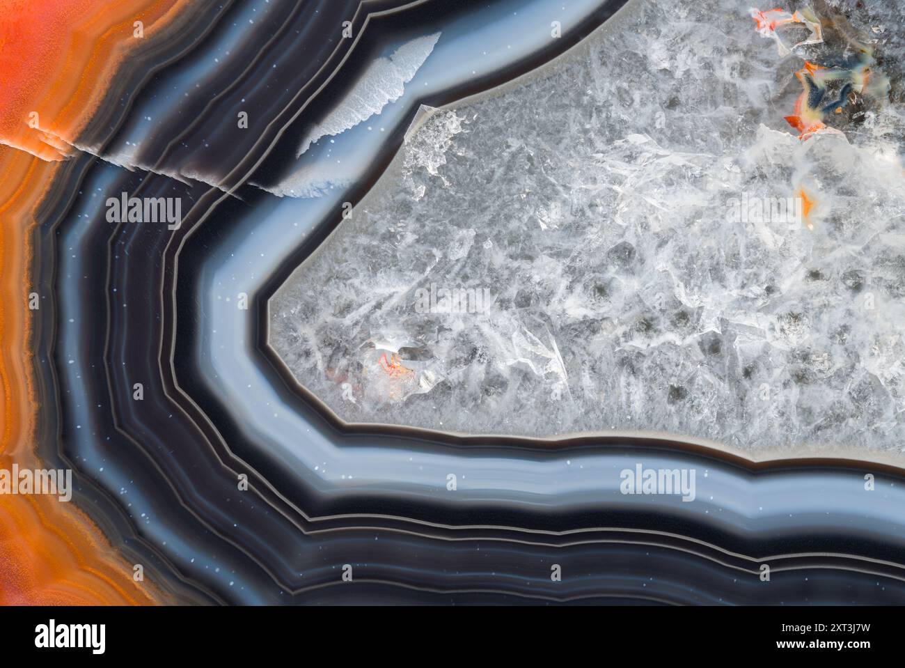 Close-up image capturing the intricate, layered structure and vibrant ...