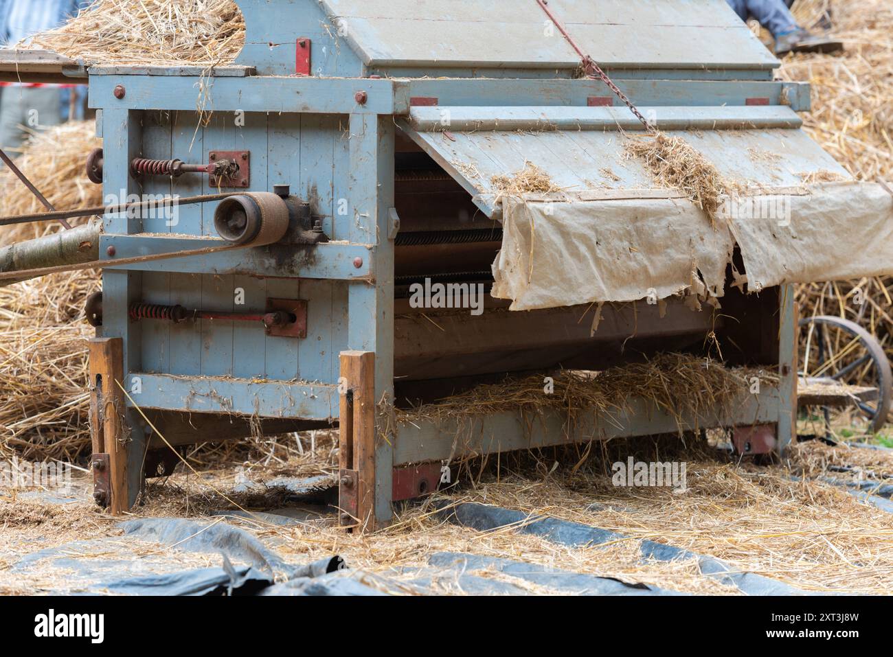 Close-up view of a vintage wheat threshing machine processing straw ...