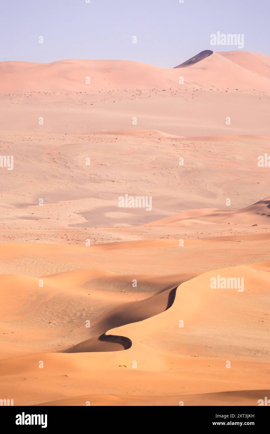Curving dunes of Namibia's desert under a clear sky, highlighting the ...