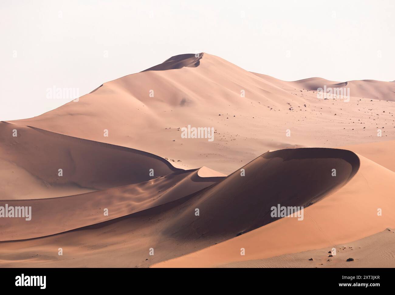 Stunning view of large, sweeping sand dunes under a soft golden light ...