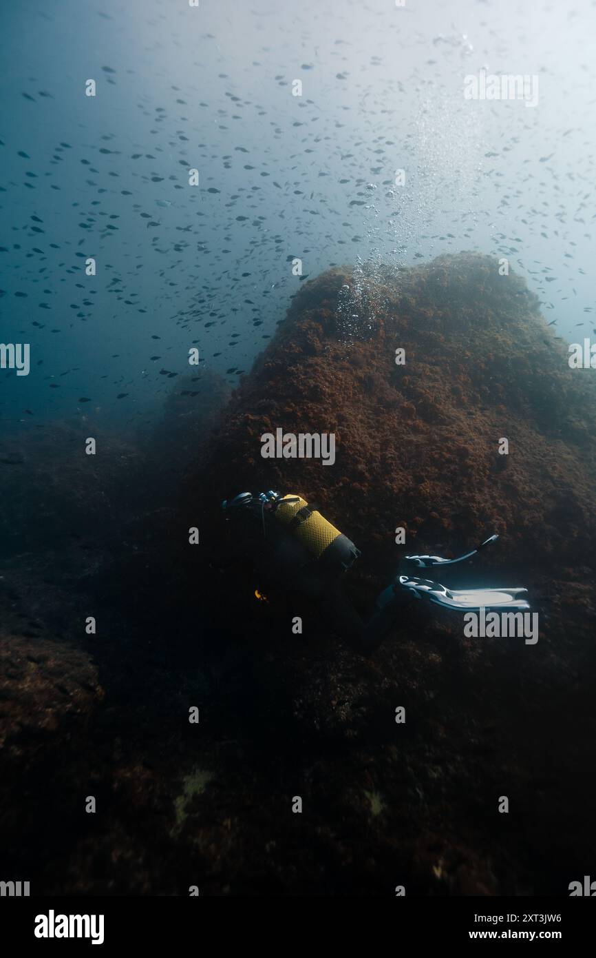 A diver, unrecognizable and facing away, is pictured exploring a deep ...