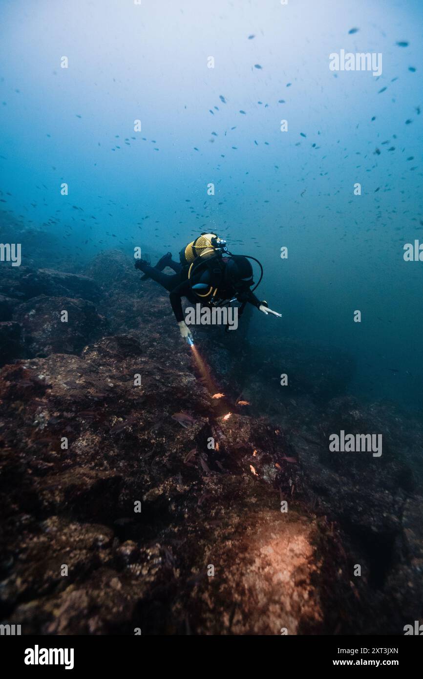 An unrecognizable male diver moves through murky waters, his gaze not ...