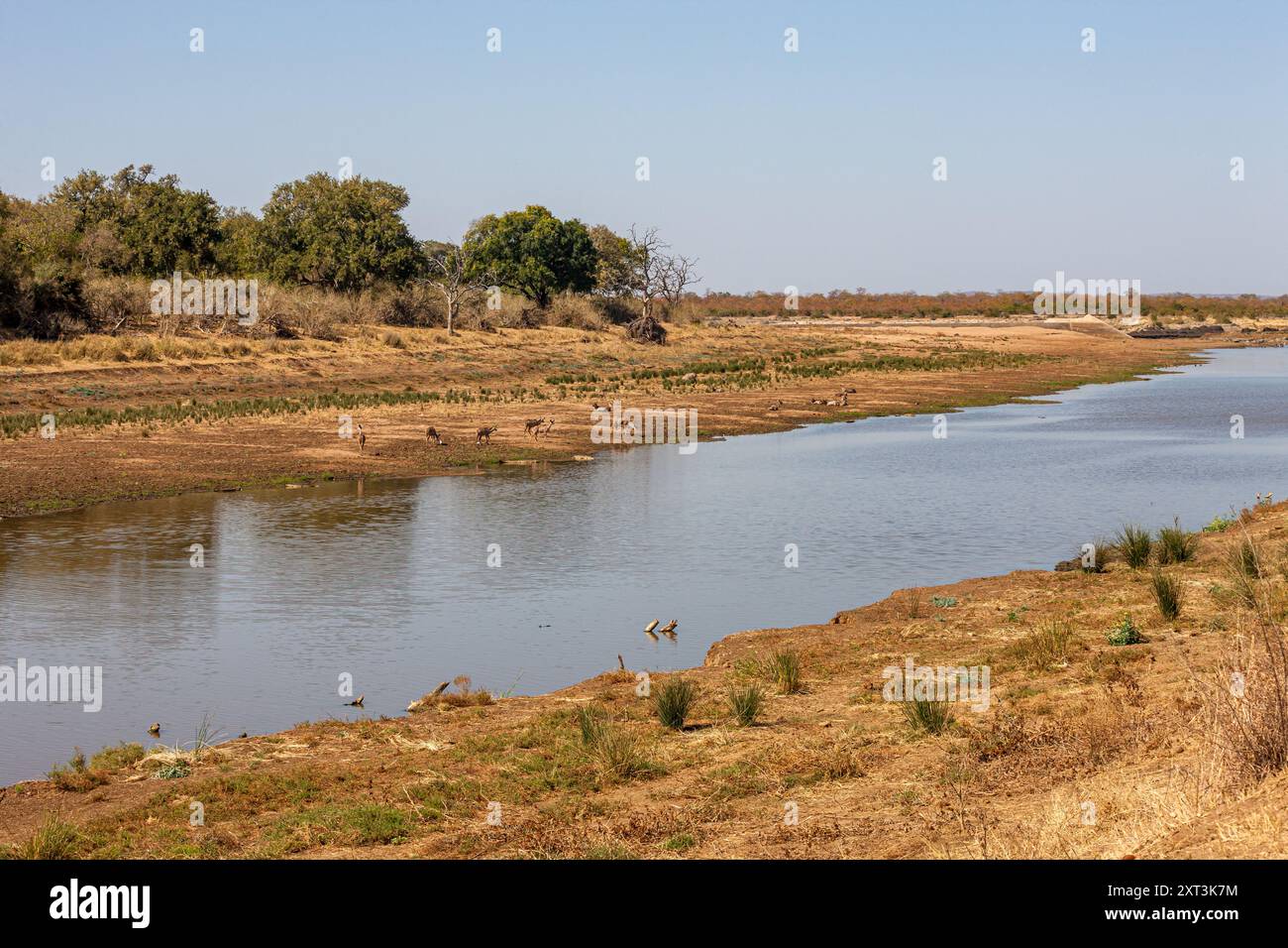 South Africa, Kruger National Park, Shingwedzi River Stock Photo - Alamy