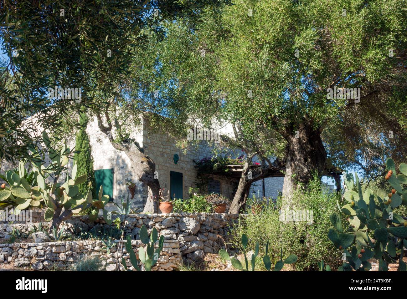 Architecture in Vitsentsiatika village in Othonoi island, Greece Stock ...