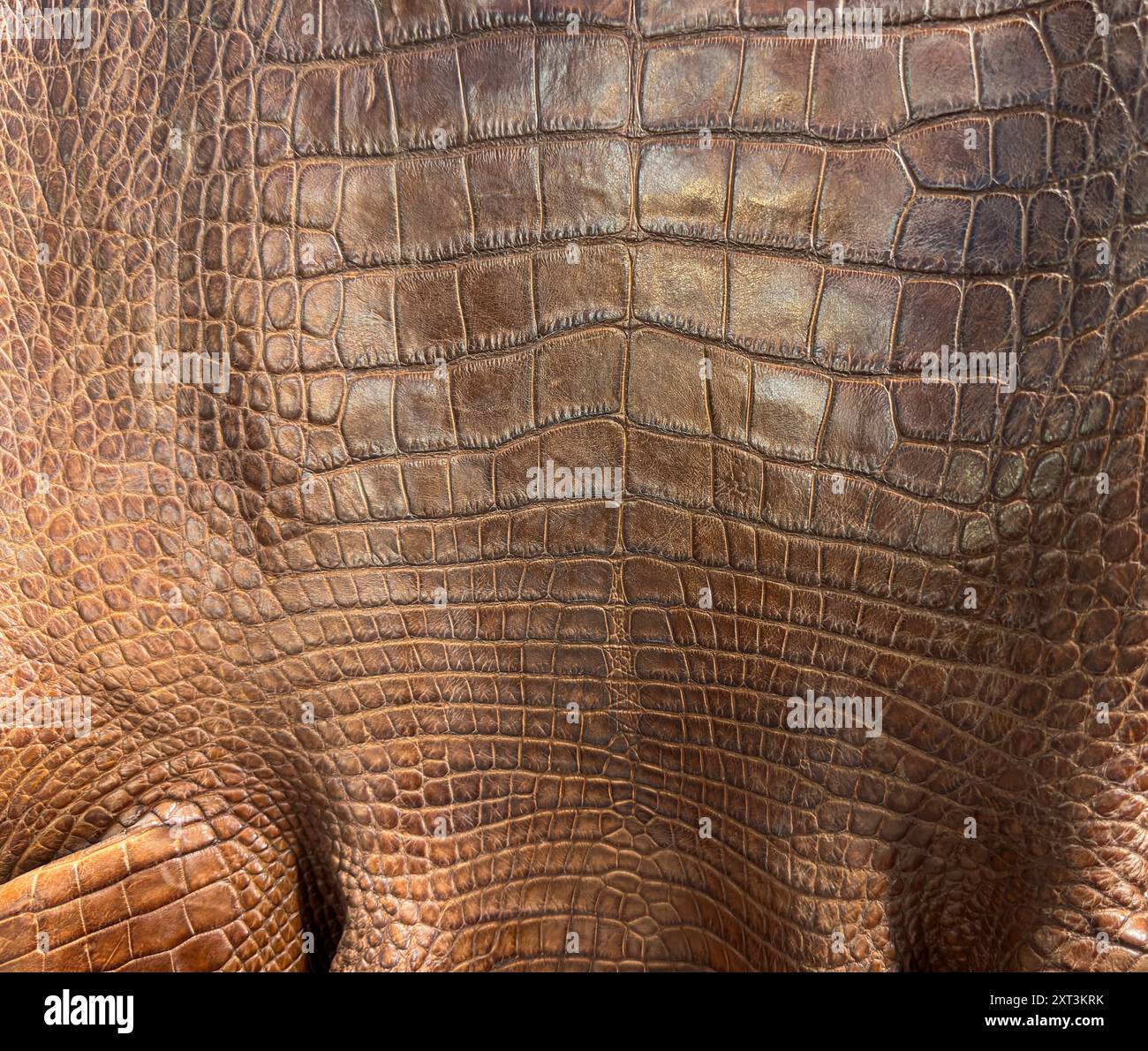 Tan tanned brown skin hi-res stock photography and images - Alamy