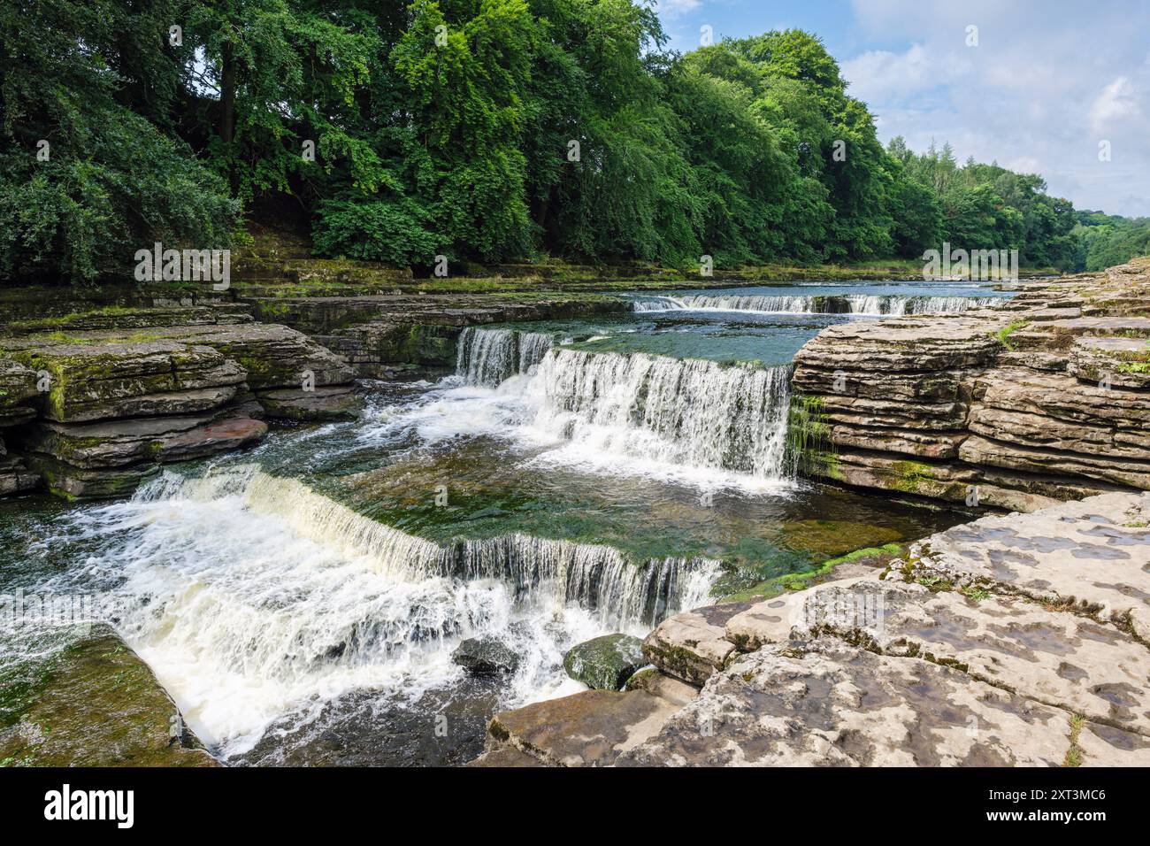 The Lower Falls, Aysgarth Falls, Wensleydale, Yorkshire Dales National ...