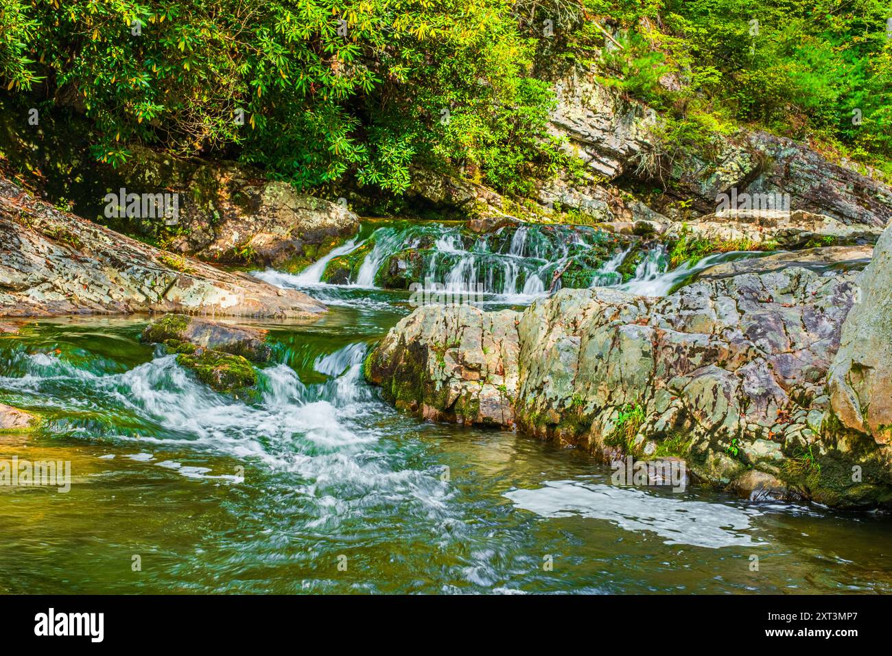 Gurgling water slides over several tiers of cascades in Paint Creek RA ...