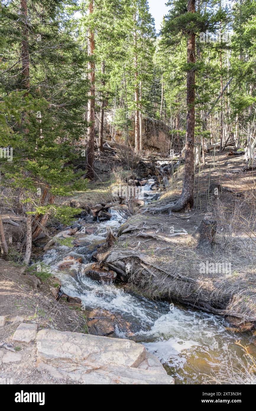 Fall River below Chasm Falls, Rocky Mountain National Park, Colorado ...