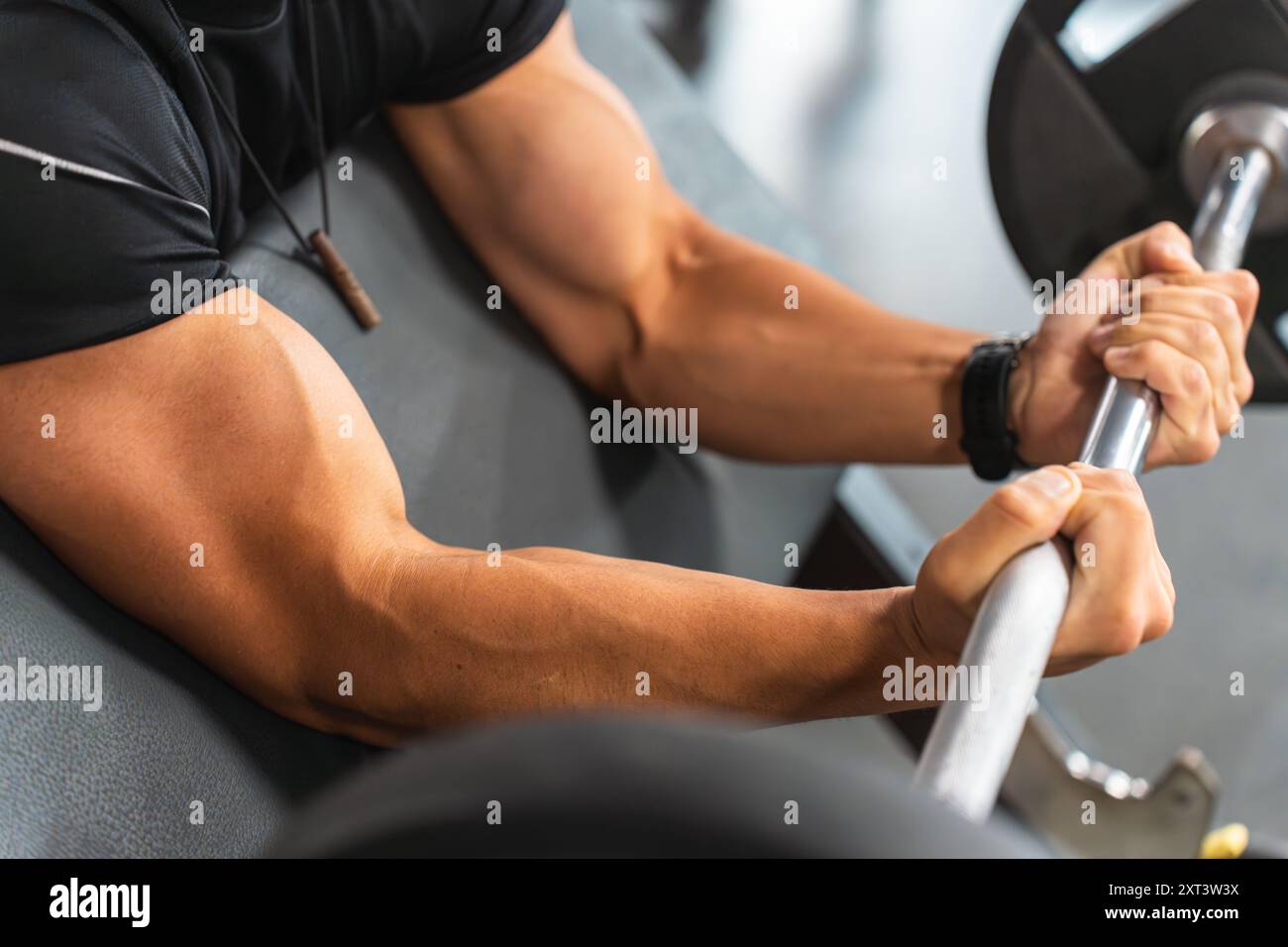 Muscular arms of a man training biceps with the barbell at the gym ...