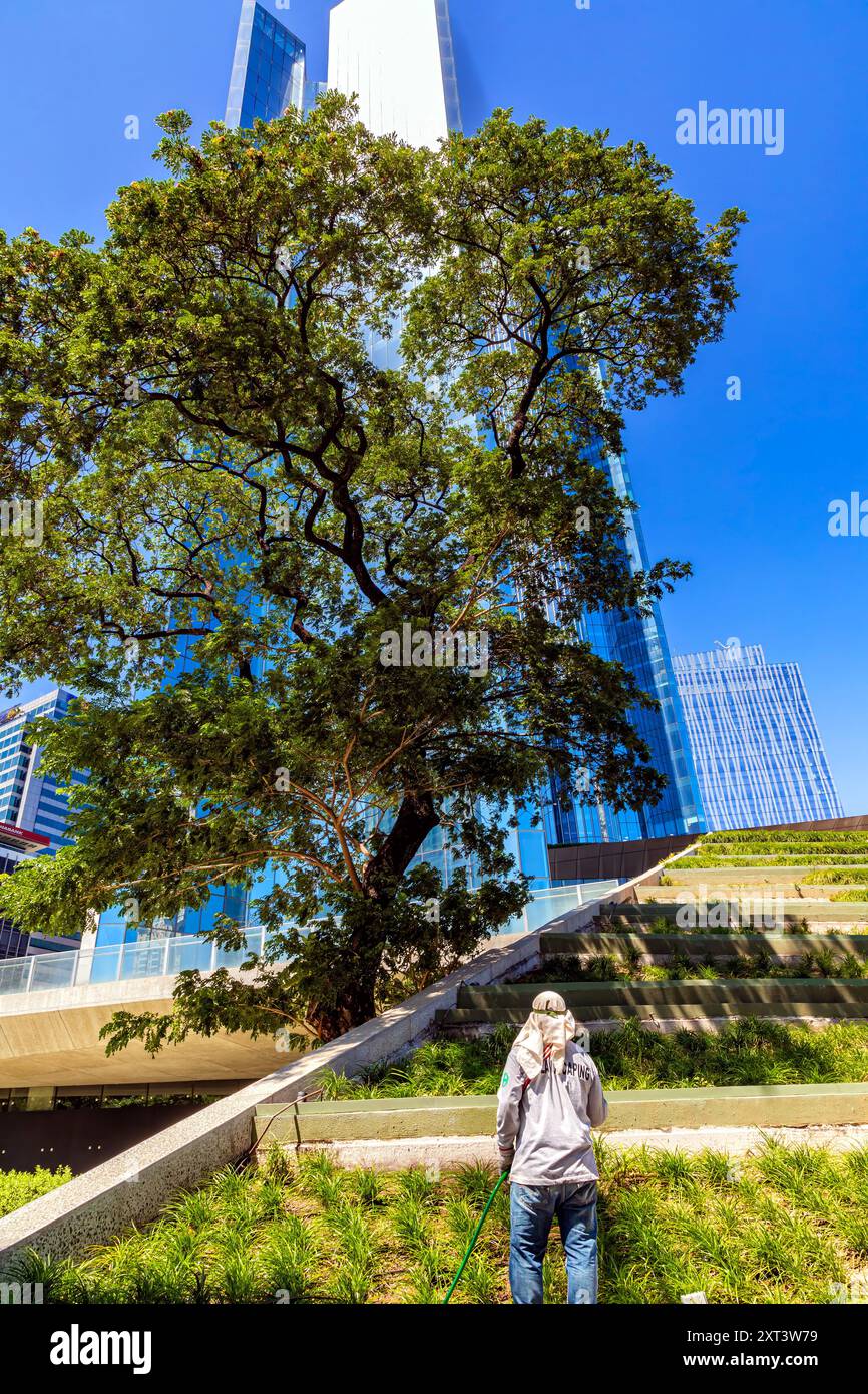 Makati city landscape, buildings, architecture and skyline around Ayala ...