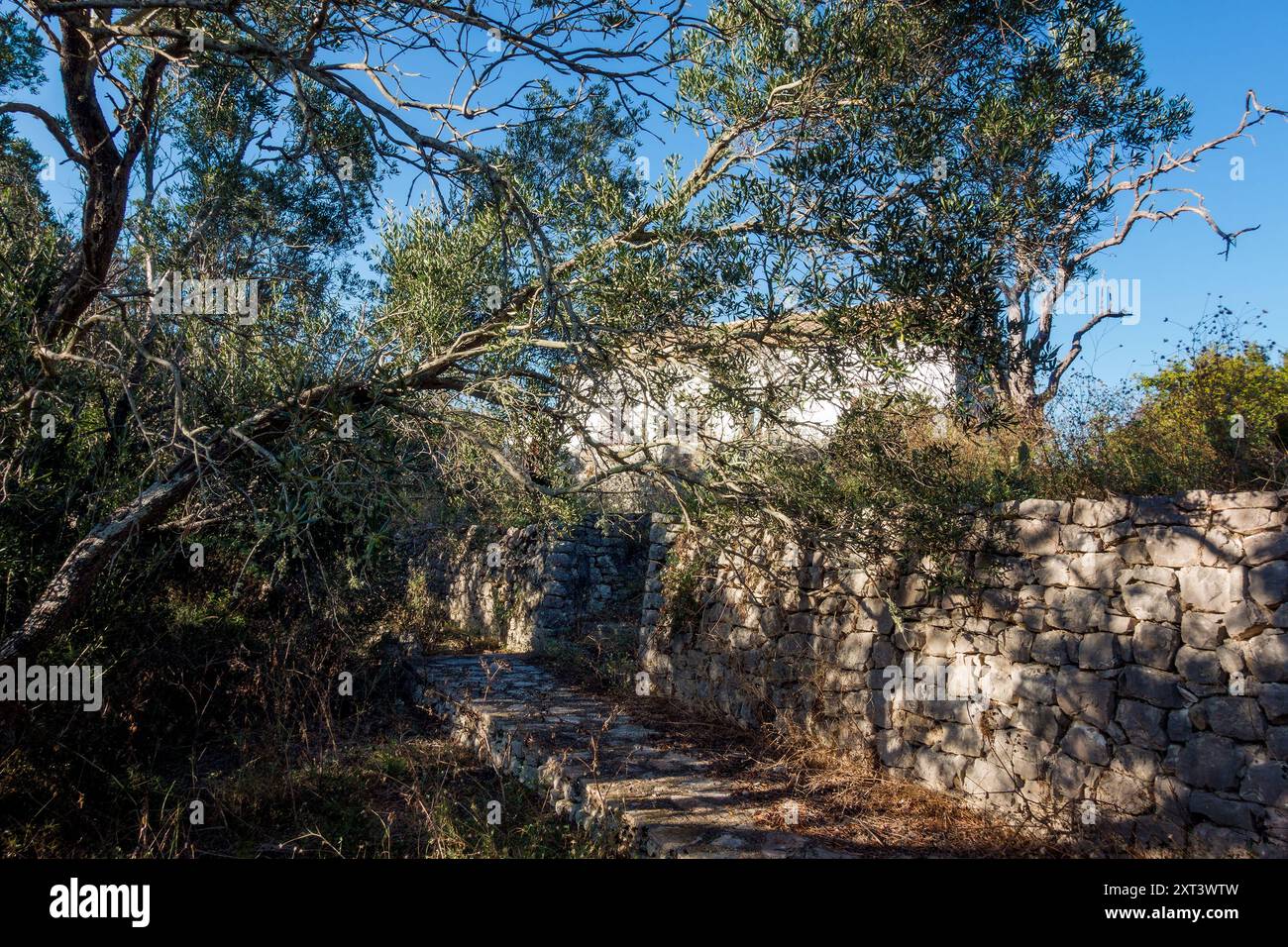 Corfu trail walk hi-res stock photography and images - Alamy
