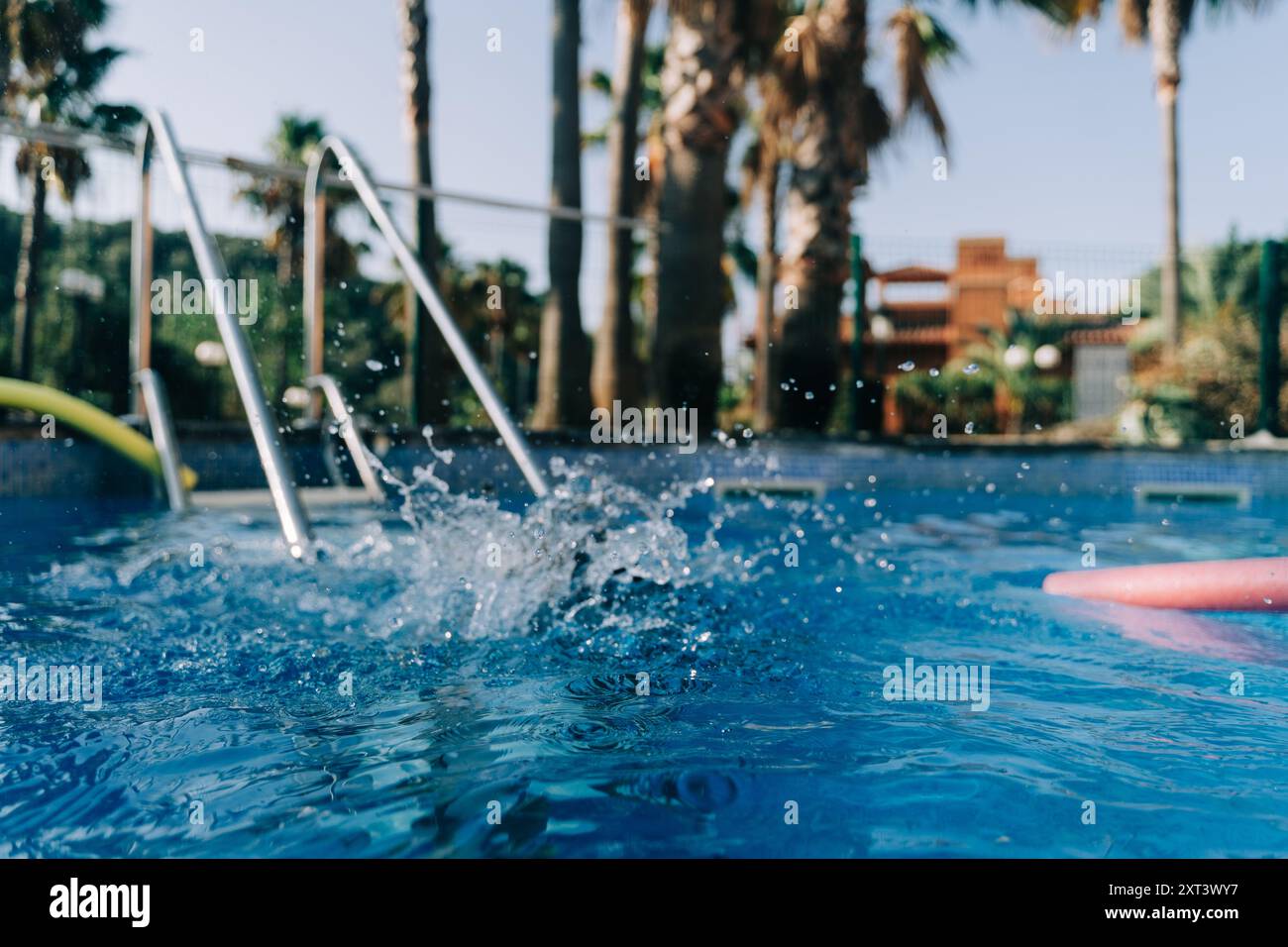 Water splashing in a pool as someone dives in, with palm trees and a ...