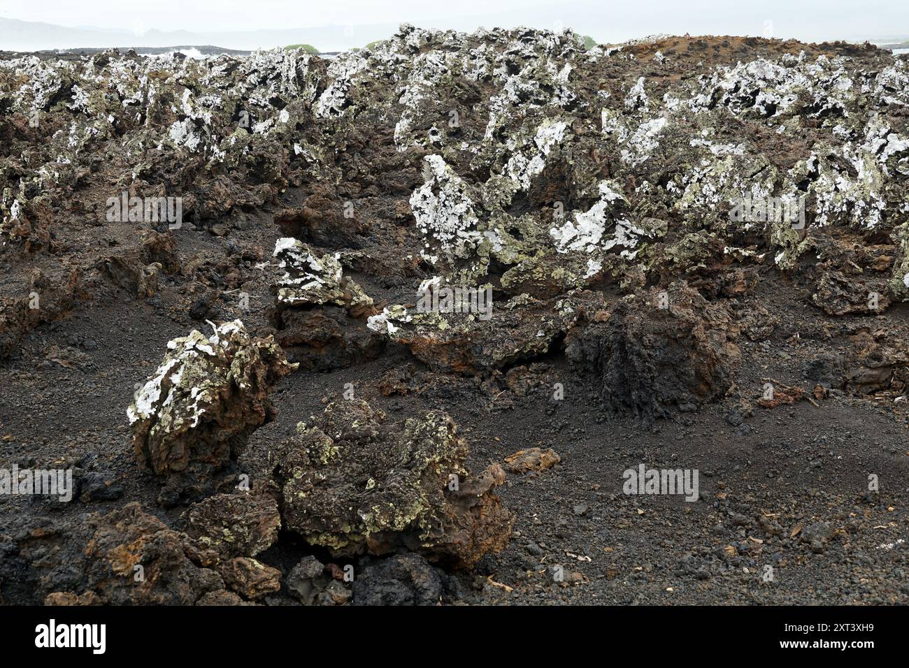 landscape, Las Tintoreras Islet, Galápagos Islands, Ecuador, South ...