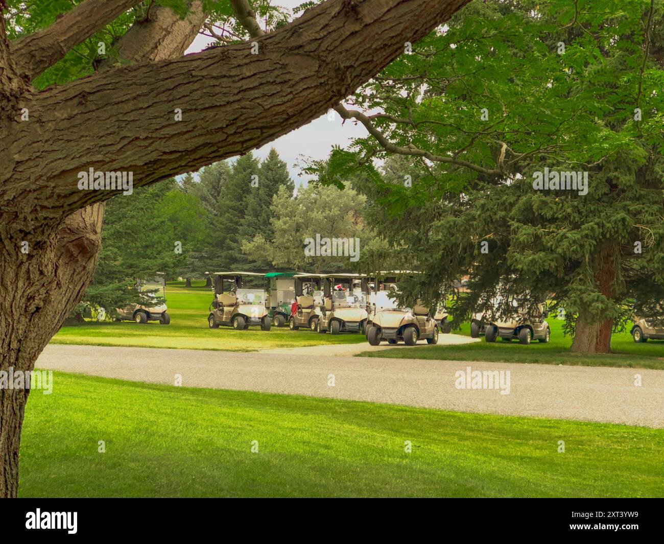 Golf carts parked on golf course hi-res stock photography and images ...
