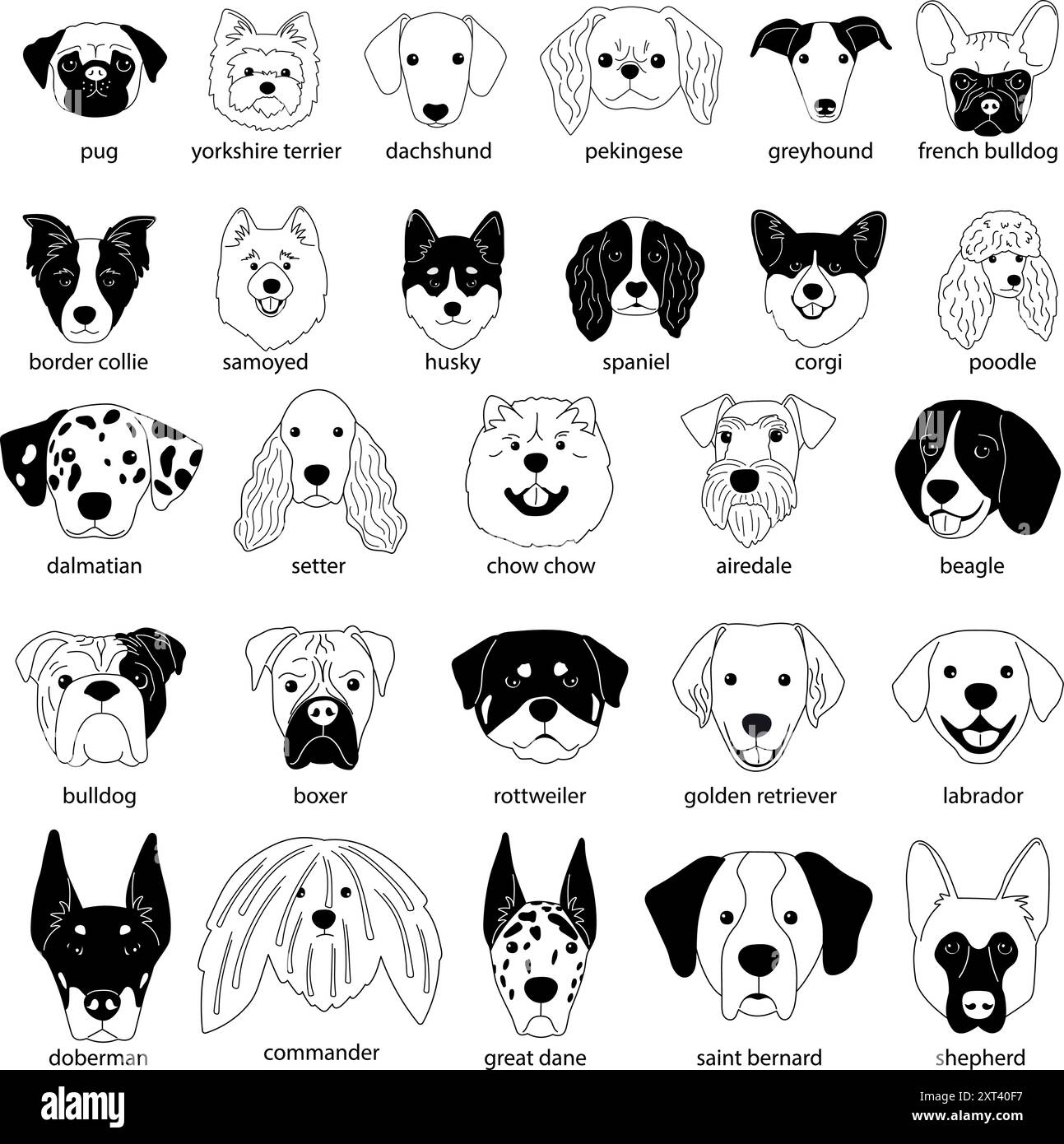 Different dogs heads collection of various breeds in sketch black and ...