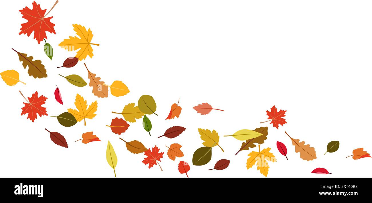 Autumn falling leaves. Flying orange foliage from tree on white ...