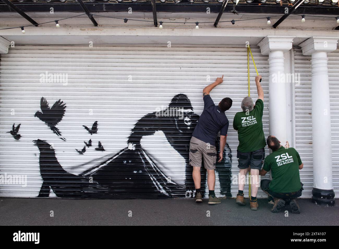 London, England, UK. 13th Aug, 2024. Banksy revealed his ninth animal ...