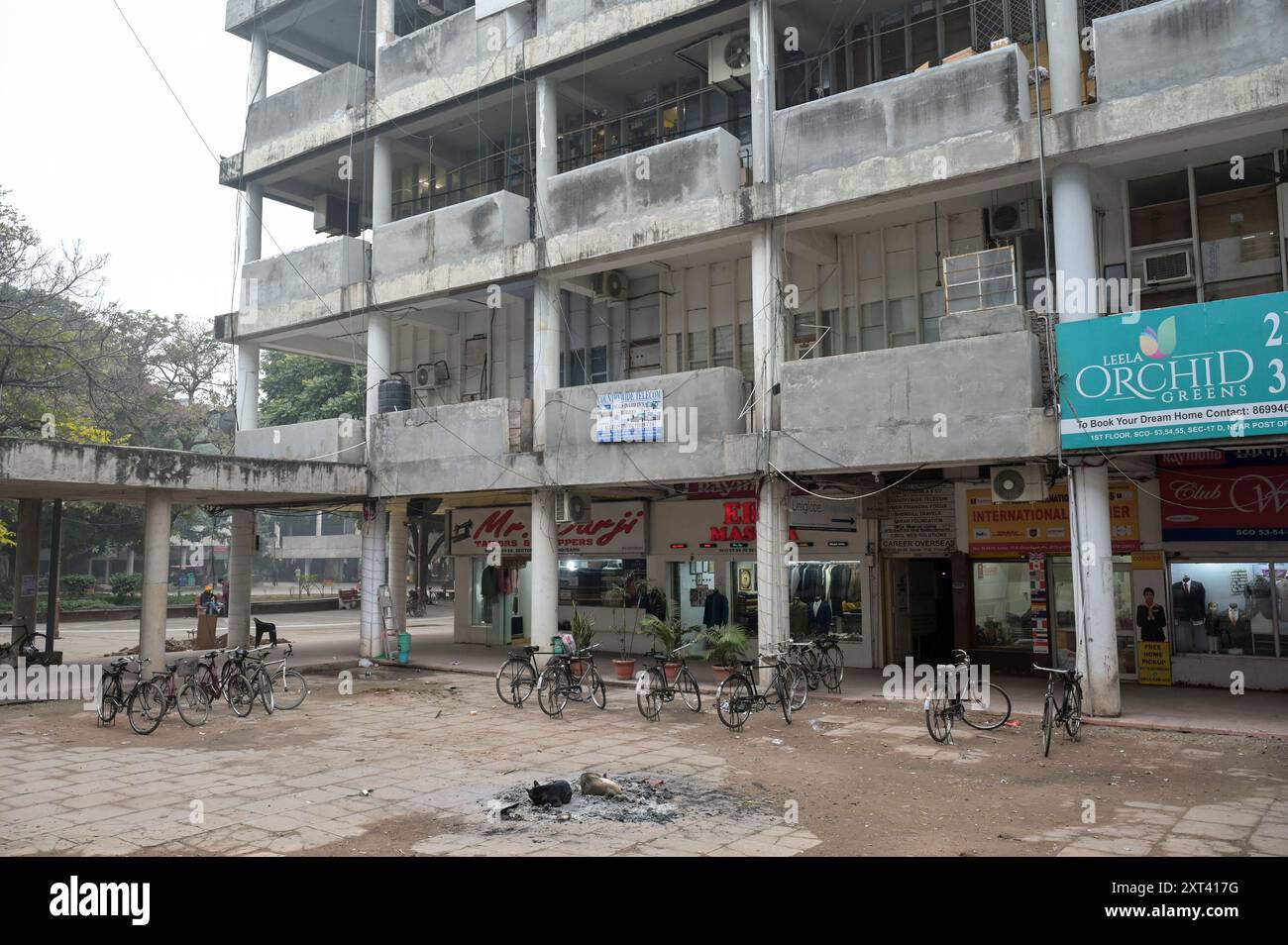 INDIA, Chandigarh, the master plan of the city divided in sectors was ...