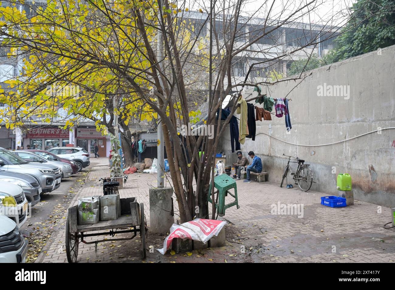 INDIA, Chandigarh, the master plan of the city divided in sectors was ...