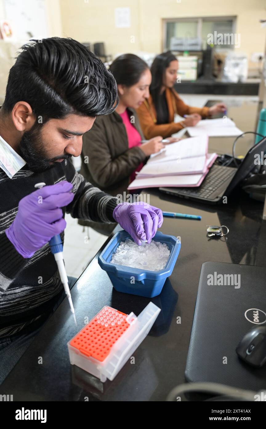 University of punjab hi-res stock photography and images - Alamy University of punjab hi-res stock photography and images - Alamy