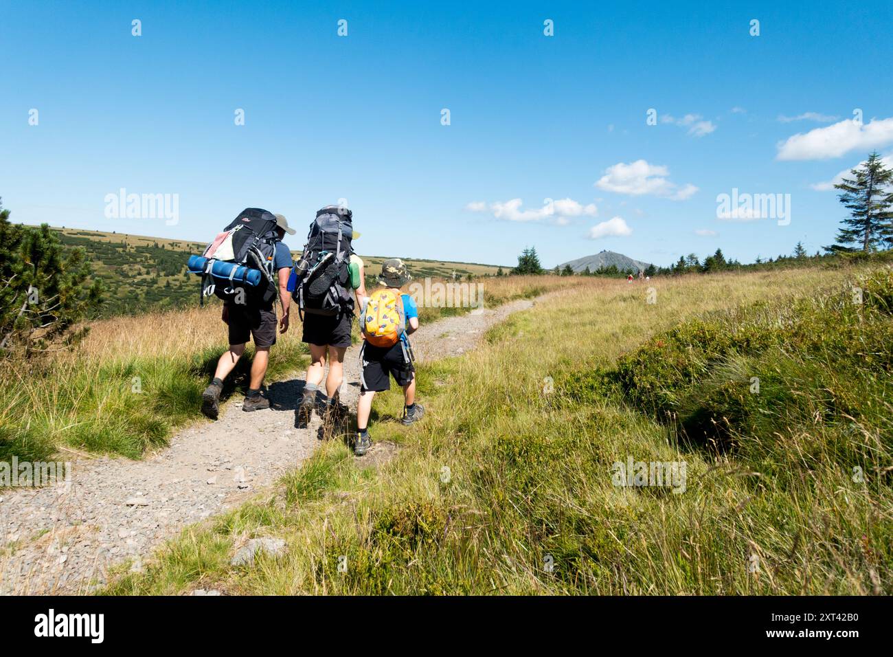 Parents with a boy walking away, family hiking on a mountain pathway ...