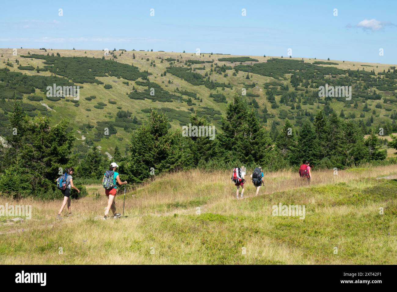 Young hikers on mountain path hiking The Giant Mountains Krkonose ...