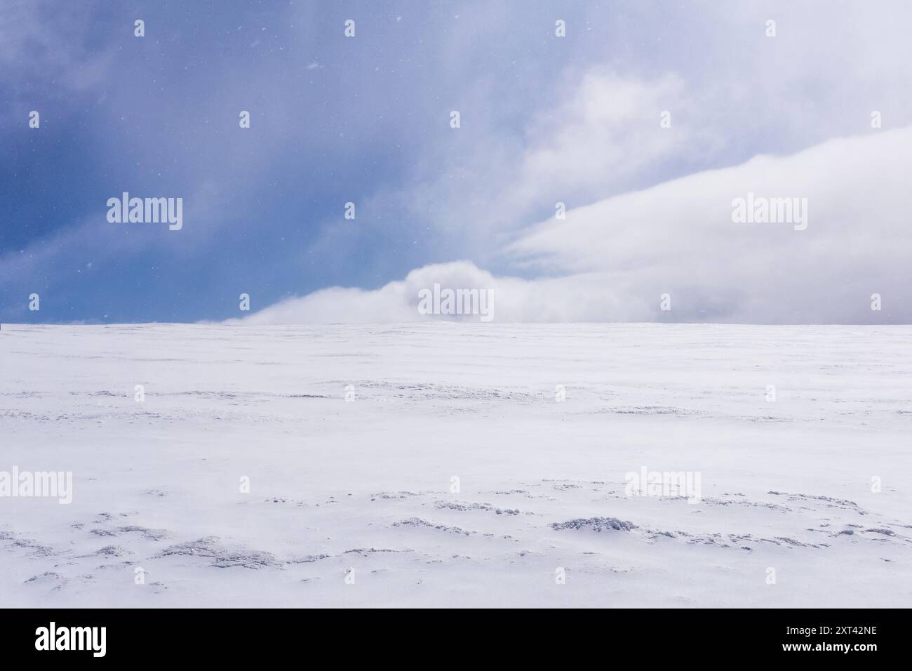 frozen snow desert, lifeless snowy landscape with blizzard Stock Photo ...