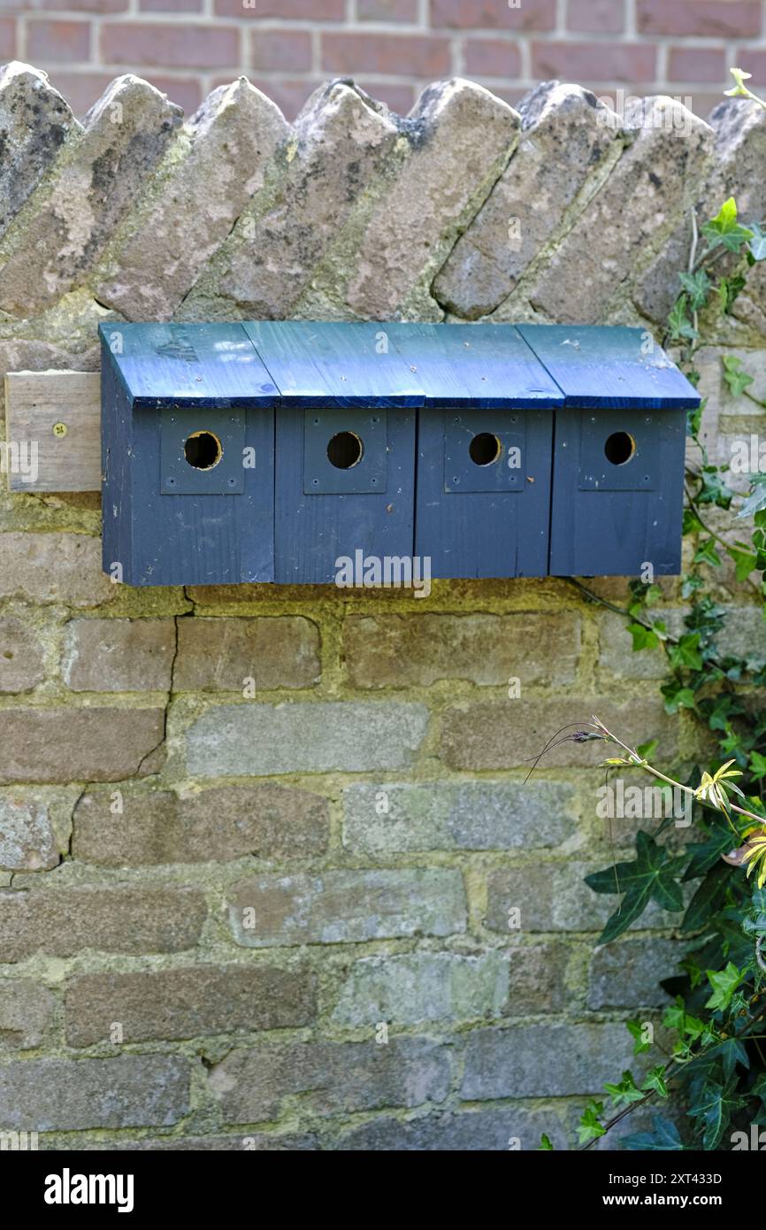 4 hole Sparrow Nest Boxes fixed to garden wall Stock Photo - Alamy