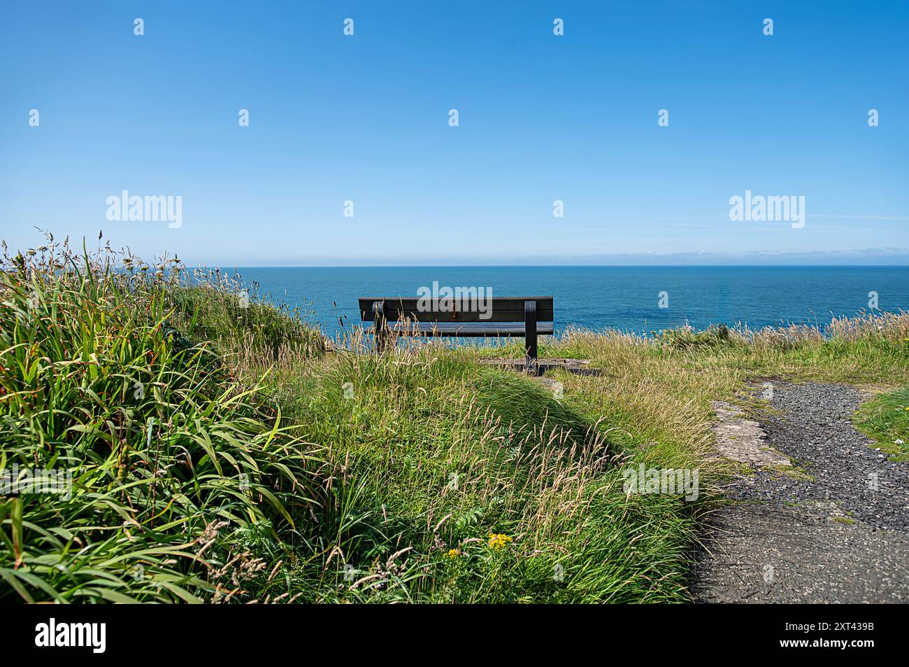 Landscape photography of bench, path, seaview, horizon, viewpoint ...