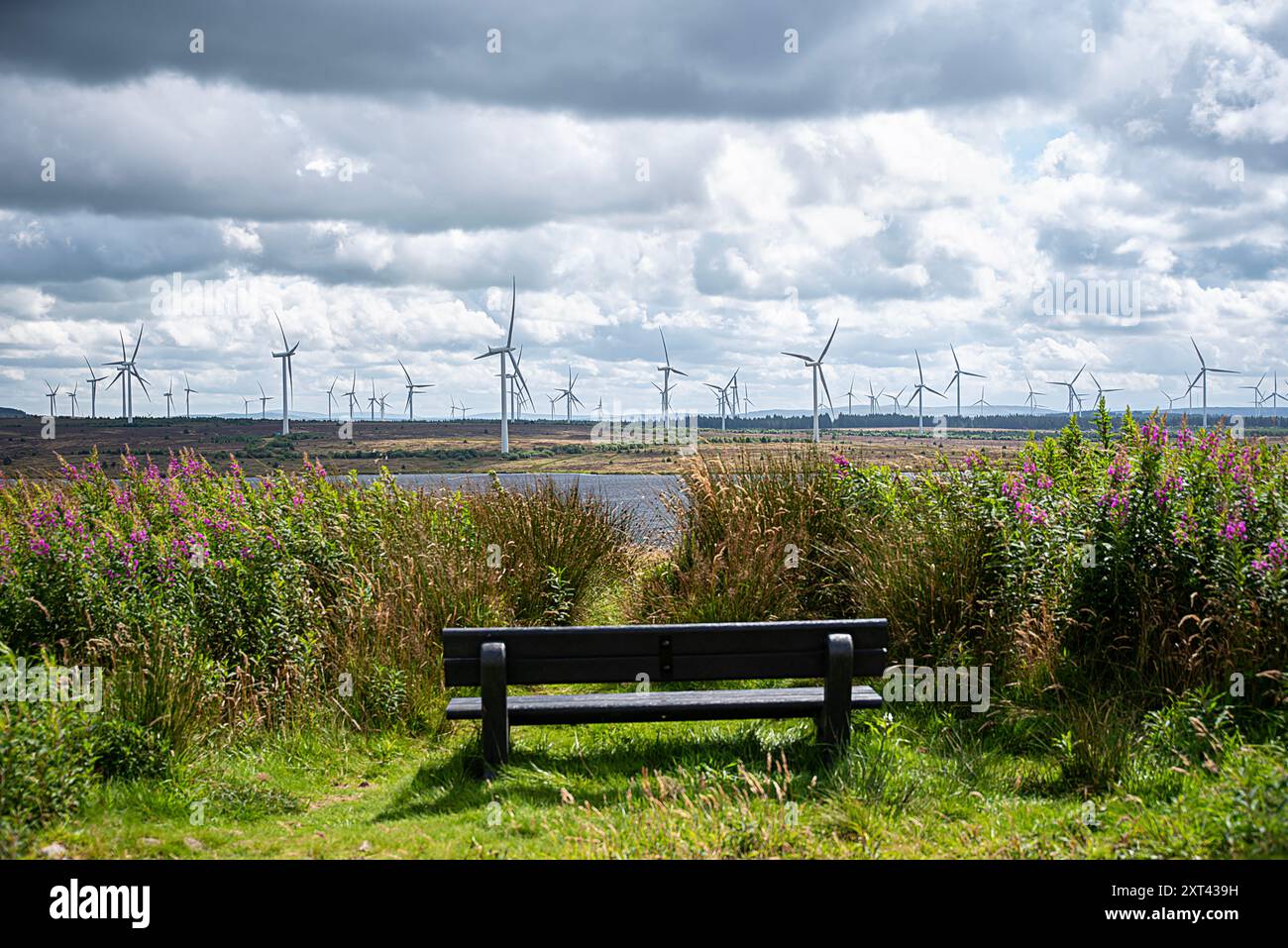 Landscape photography of bench with a view of the wind farm, wind ...