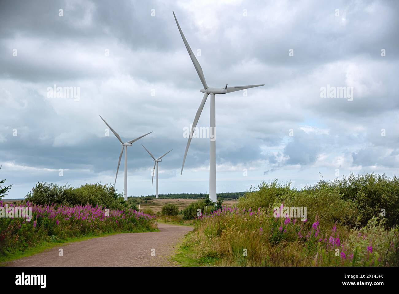 Landscape photography of wind turbines, windmill, wind power, power ...