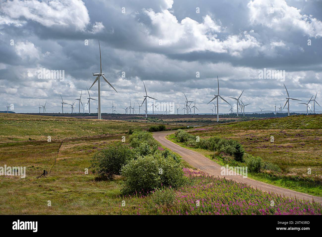 Landscape photography of wind turbines, windmill, wind power, power ...