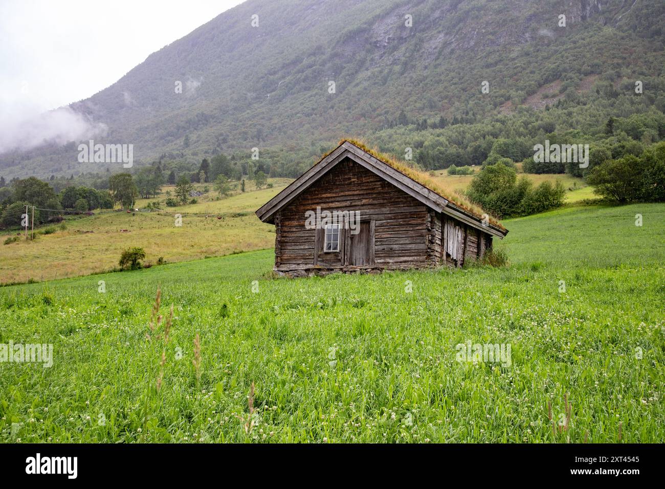Traditional Norwegian timber built property in Olden, Norway Stock ...