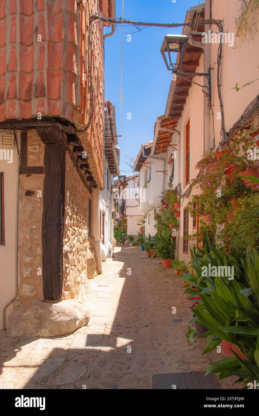Stroll through the narrow, stone-paved streets of Hervas Jewish Quarter, where medieval ...